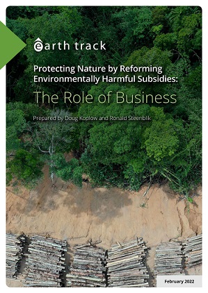 Protecting nature by reforming environmentally harmful subsidies: the role of business | Earth Track
